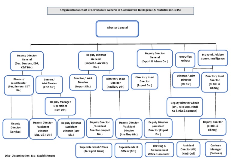 Organisational Chart of Directorate General of Commercial Intelligence ...