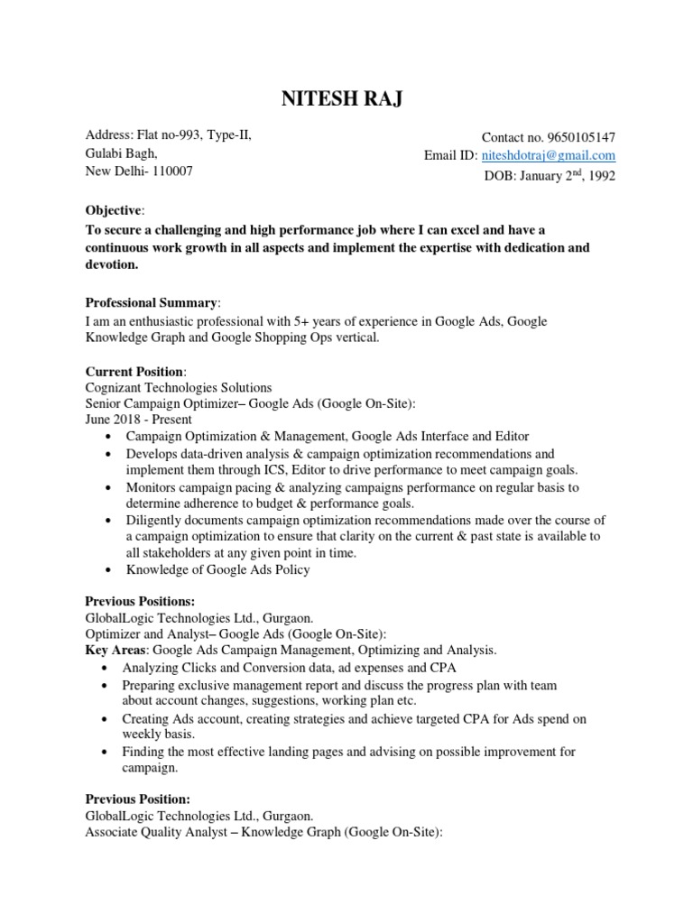 Nitesh Raj: Google Ads Expert Resume | PDF | Data Analysis | Data