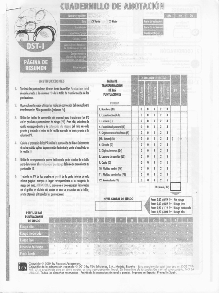 Cuadernillo de Anotación Test (DST-J) (Form. Alt.) PDF | PDF | Business
