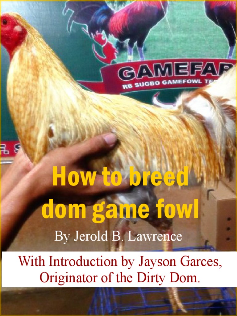 Bulik Breeding | PDF | Chicken | Birds