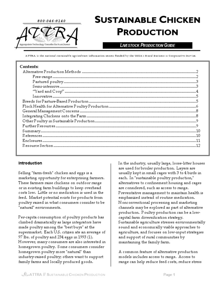 Chicken | PDF