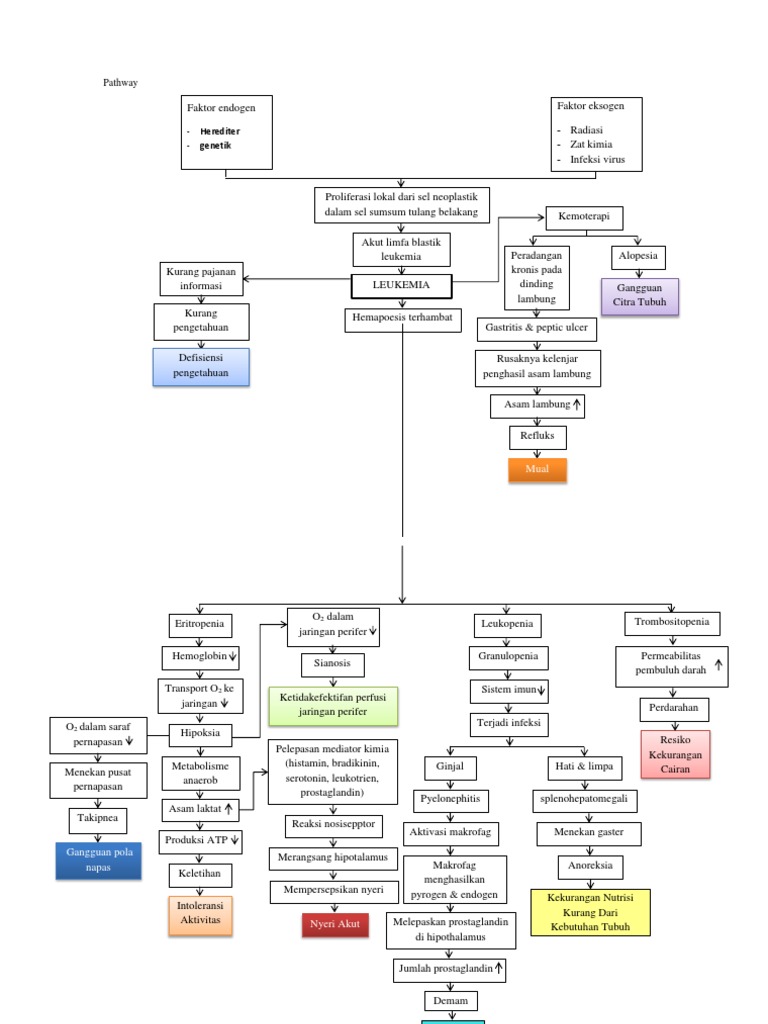 Patofisiologi dan Tatalaksana Leukemia | PDF