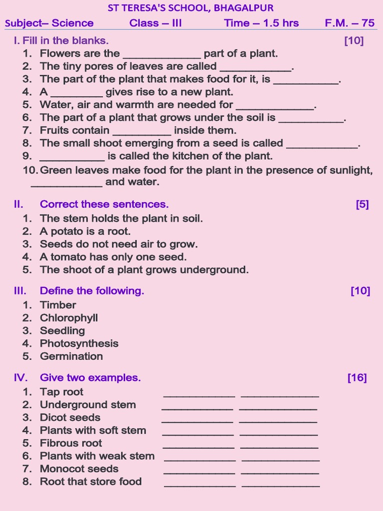 ST TERESA's SCHOOL, Class-3 Science Test, Lesson 5, 2nd Term. | PDF