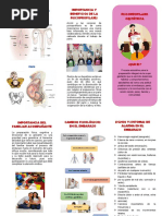 Carnet Control Prenatal | PDF | El embarazo | Partería