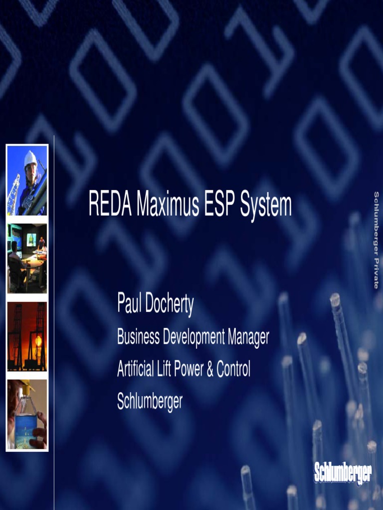 REDA Maximus | PDF | Motor Oil | Bearing (Mechanical)