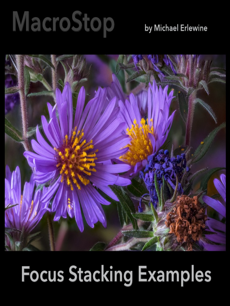 Focus Stacking Examples-V3 PDF | PDF | Camera Lens | Macro Photography