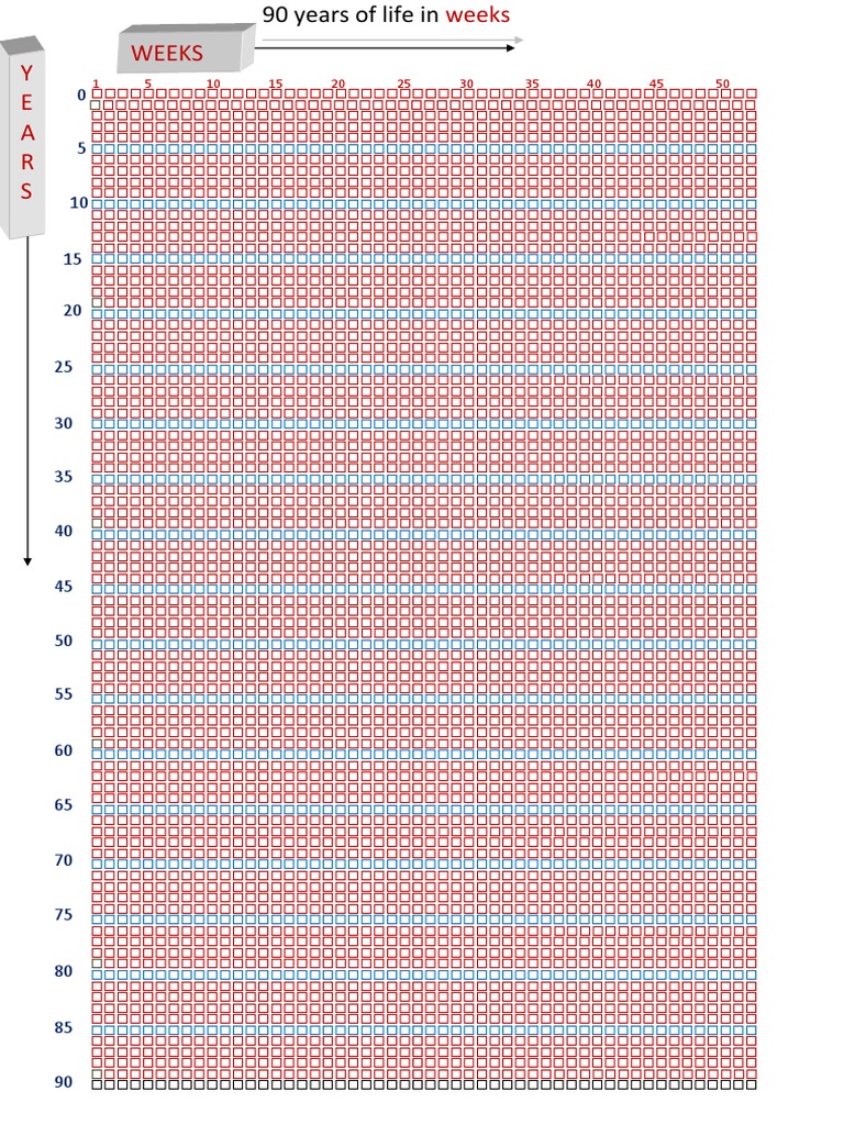 90 Years of Life in Week | PDF