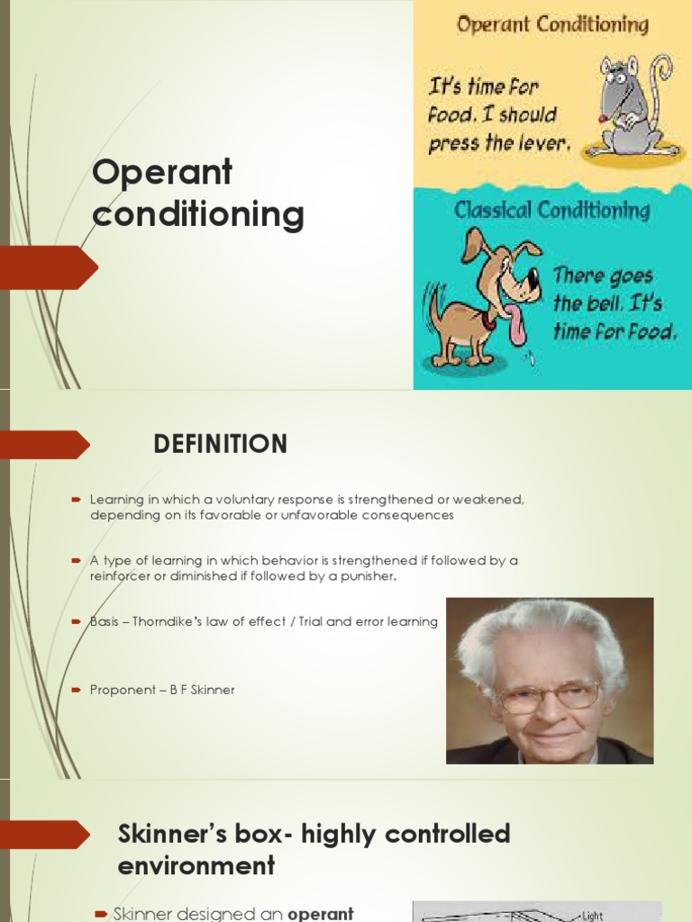 Operant Conditioning | PDF | Reinforcement | Punishments