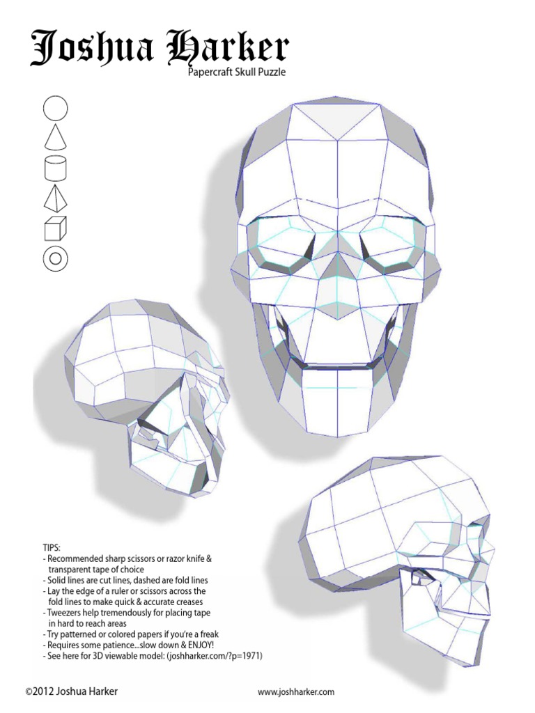 Joshua Harker: Papercraft Skull Puzzle | PDF | Skull | Primate Anatomy