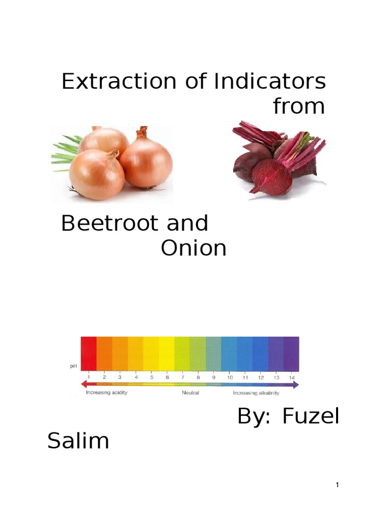 Extraction of Indicators From Beetroot and Onion Cbse Project | PDF ...