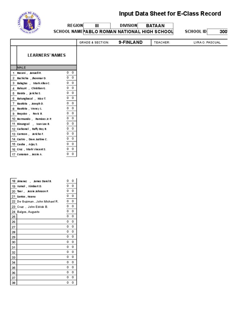 Input Data Sheet For E-Class Record: III Bataan Pablo Roman National High School 300716 9 ...