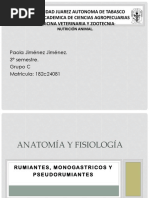 Reflejo de Flehmen en Animales | PDF | Biología