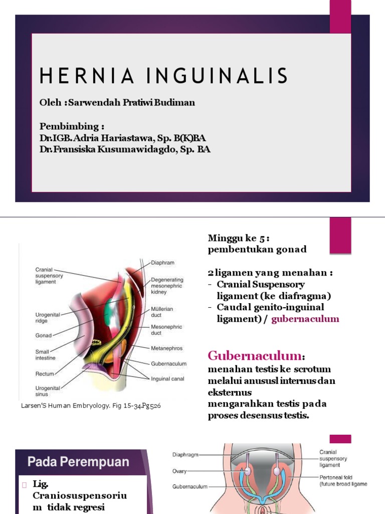 Hernia Inguinalis | PDF