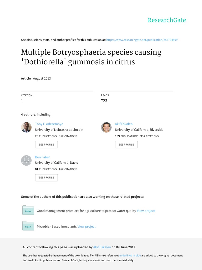 Citrus Bot Canker | PDF | Fungus | Orange (Fruit)