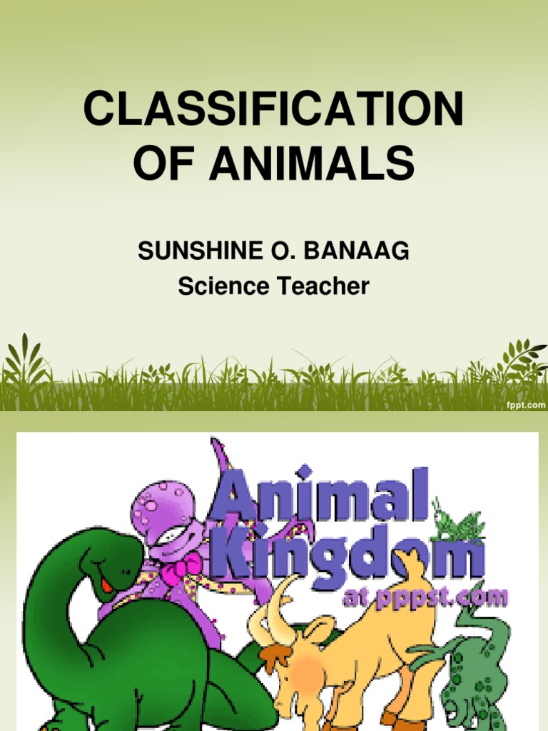 Classification of Animals | PDF | Amphibian | Reptile