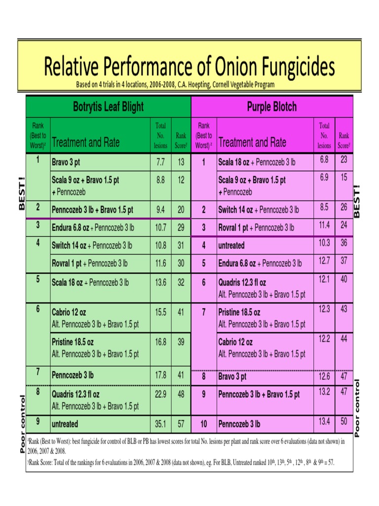 Onion Fungicide | PDF | Pest (Organism) | Medical Specialties