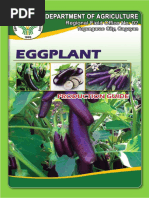 Pechay Growth and Production Guide | PDF | Sowing | Seedling