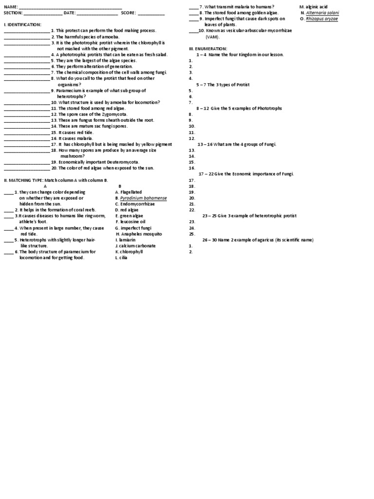 Test in Protist Fungi | PDF | Fungus | Algae