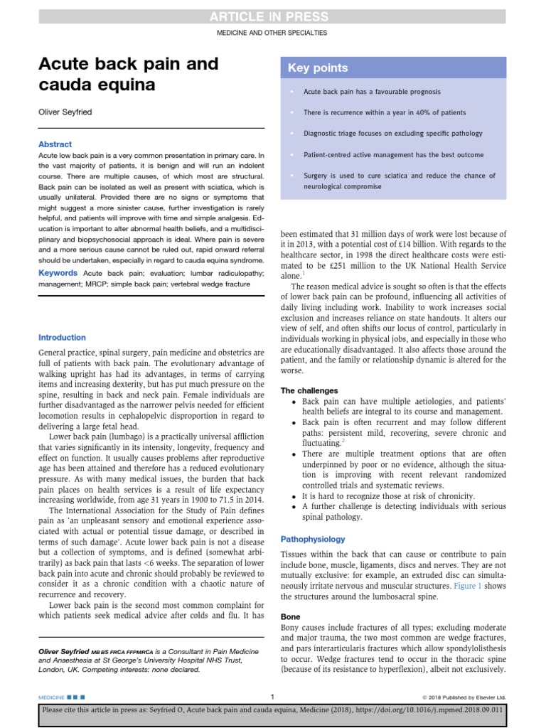 Acute Back Pain and Cauda Equina: Key Points | PDF | Back Pain | Low ...