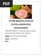 Presence of Oxalate Ions in Guava Chemistry Investigatory Project | PDF ...