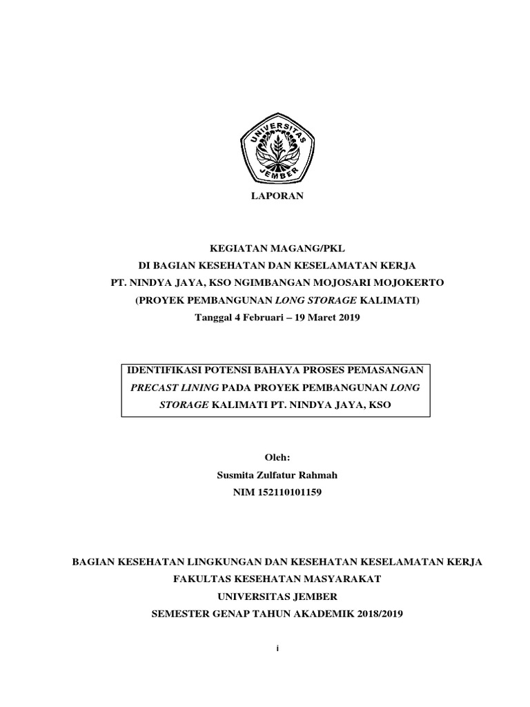 Laporan Individu Revisi Susmita | PDF