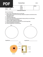 Onion Cell Lab Report Conclusion | PDF | Cell (Biology) | Staining