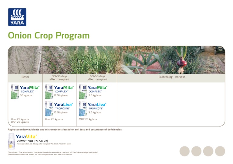 Onion Crop Program - tcm587-72875 | PDF | Technology & Engineering