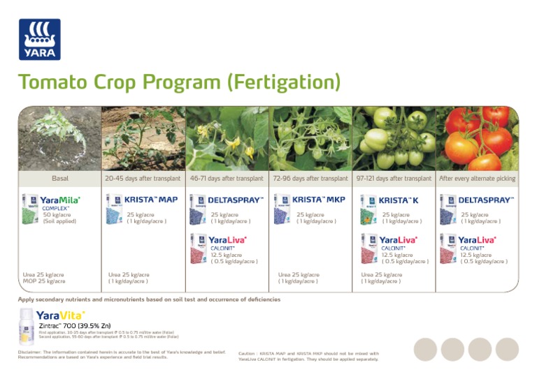 Tomato Crop Program (Fertigation) - tcm587-135380 | PDF