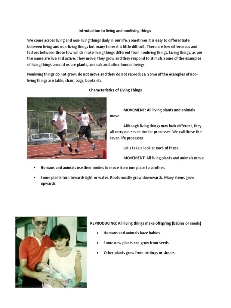 Introduction To Living and Nonliving Things | PDF | Breathing | Leaf