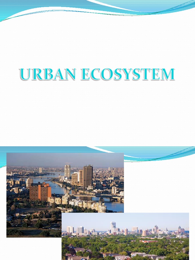 Urban Ecosystem Part1 PDF | PDF | Green Infrastructure | Ecology