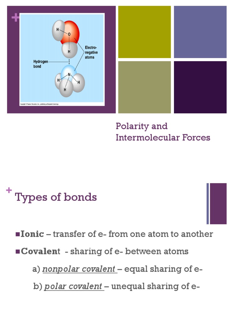 Polarity & Intermolecular Forces Guide | PDF | Chemical Polarity ...