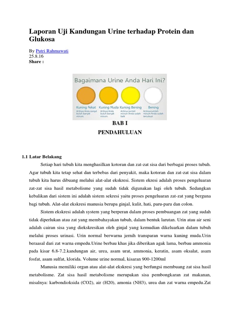 Uji Urine: Protein & Glukosa | PDF | Kesehatan Holistik