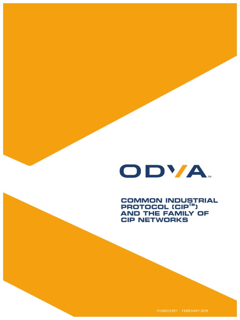 Common Industrial Protocol and Family of CIP Networks de ODV | PDF ...