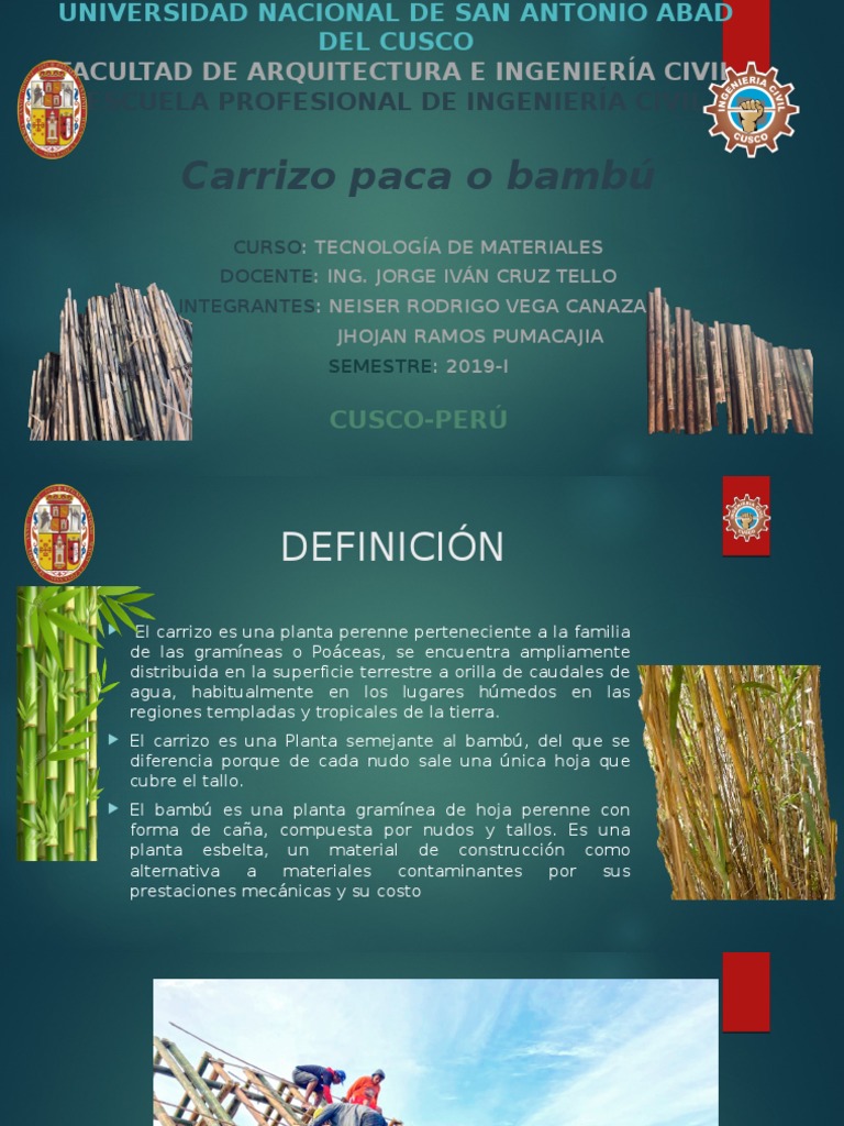 Diferencias entre bambú y carrizo | PDF | Perú | Andamio
