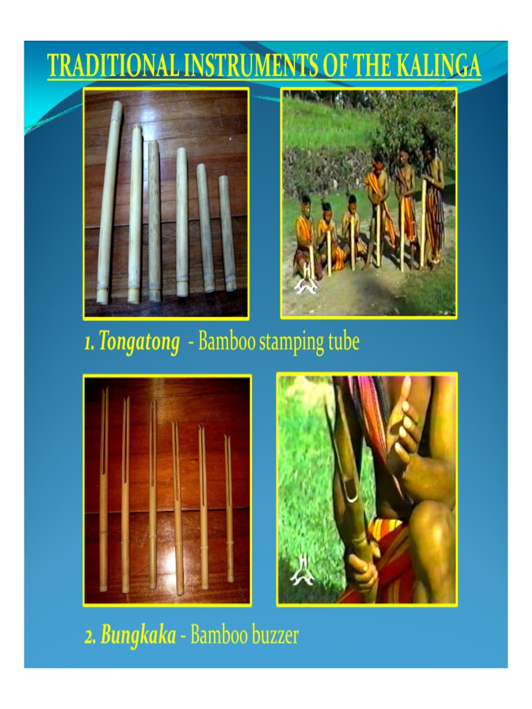 Session 1 Traditional Instruments of The Kalinga PDF | PDF | Home & Garden