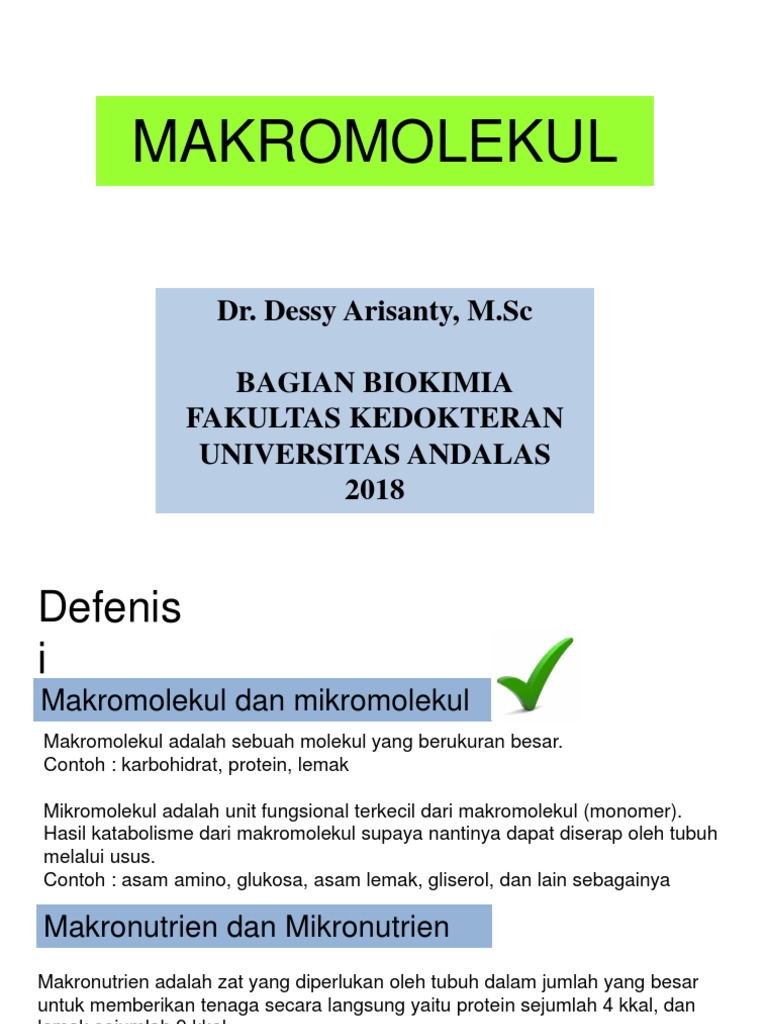 Makromolekul by Dr. Dessy Arisanty, M.SC | PDF