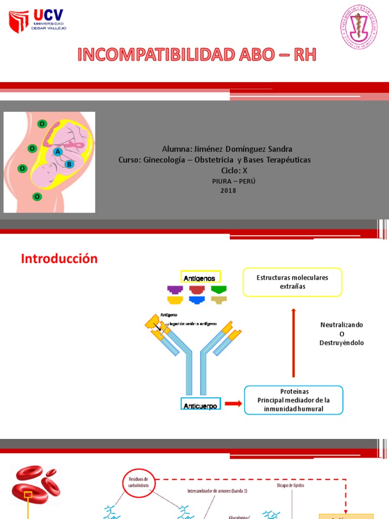 Incompatibilidad RH - Abo - Ucv | PDF | Tipo de sangre | Especialidades ...