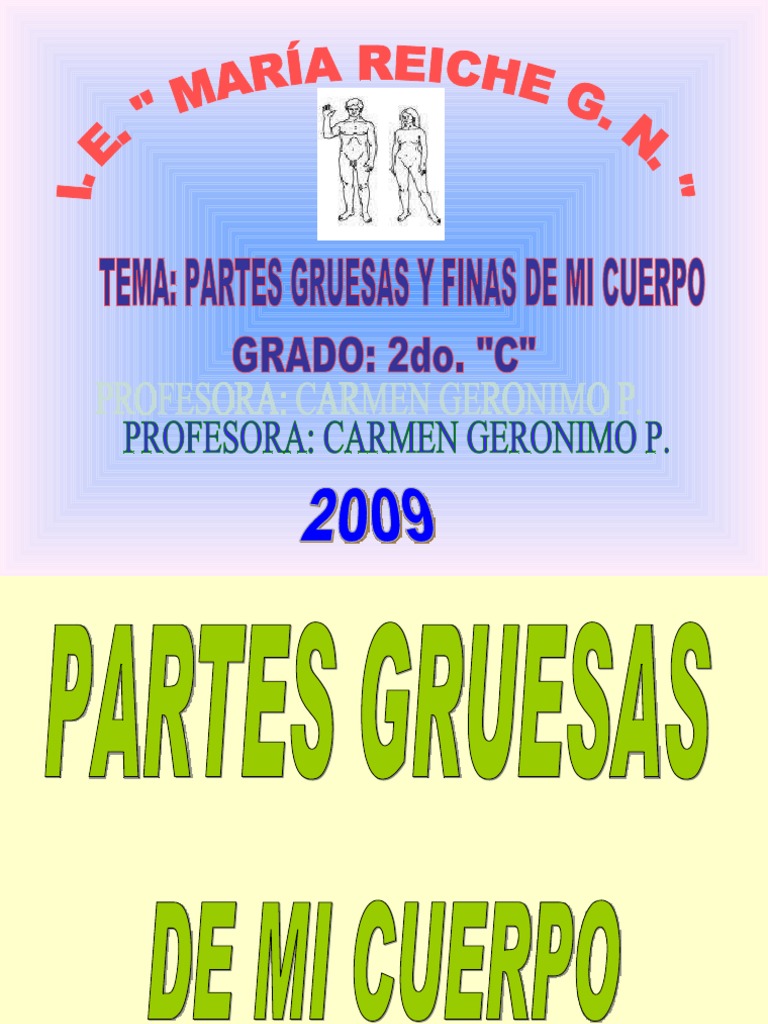 Partes Gruesas Del Cuerpo Pdf