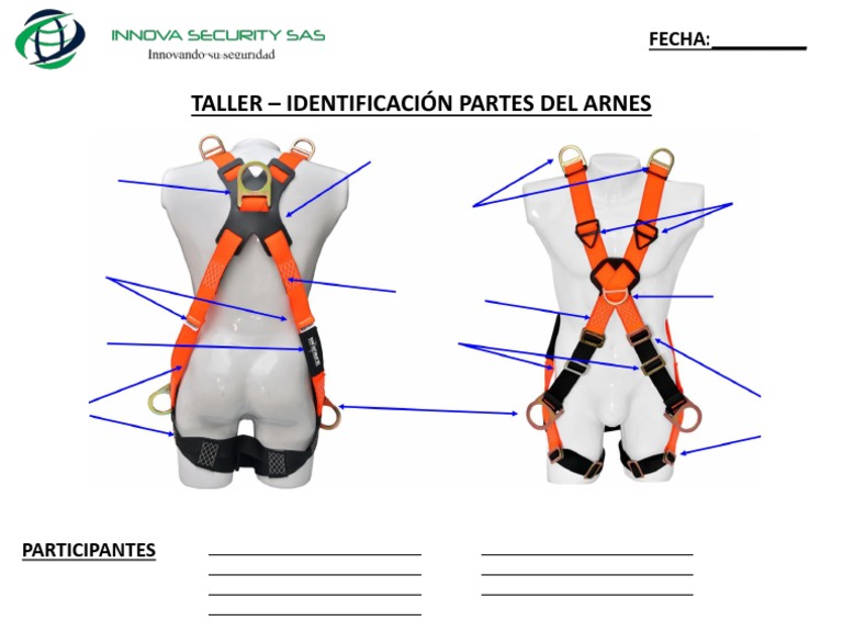 Partes Arnes | PDF