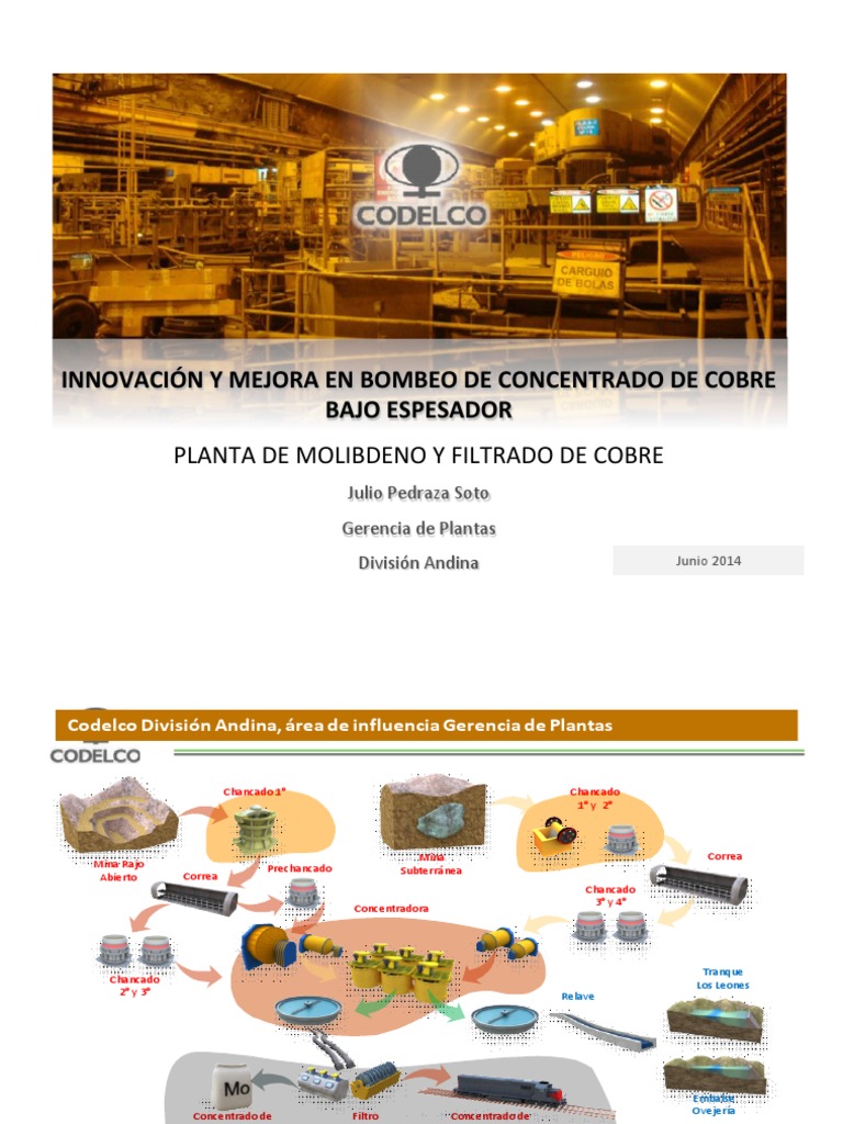Codelco Andina | PDF | Minería | Science