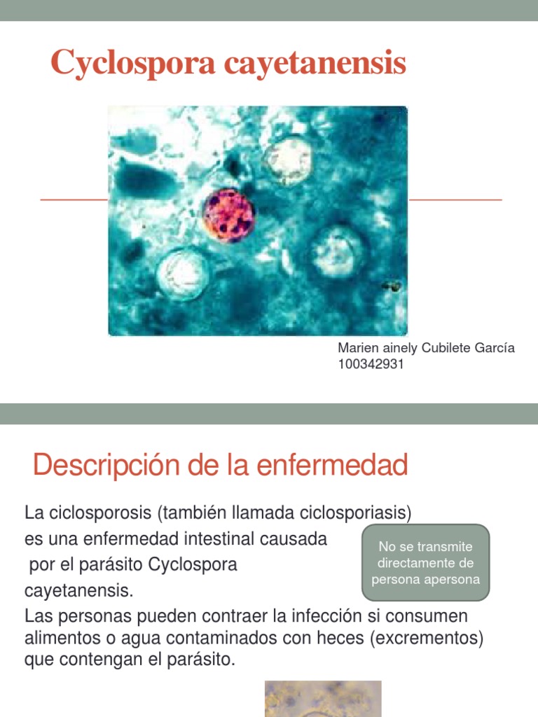 Cyclospora Cayetanensis Exp | PDF | Medicina | Epidemiología