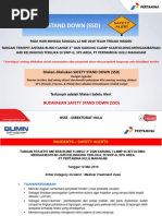 Sustainability Pertamina Expectations For Management Excellence ...