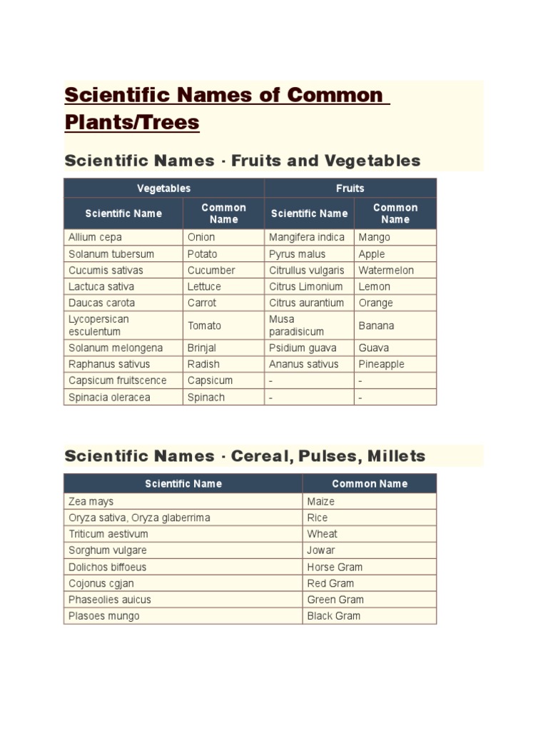 Scientific Names of Common Plants | Download Free PDF | Edible Plants ...