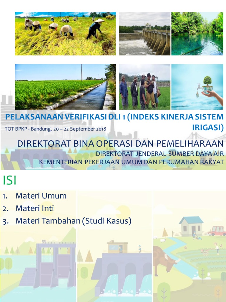 Pelaksanaan Verifikasi DLI | PDF