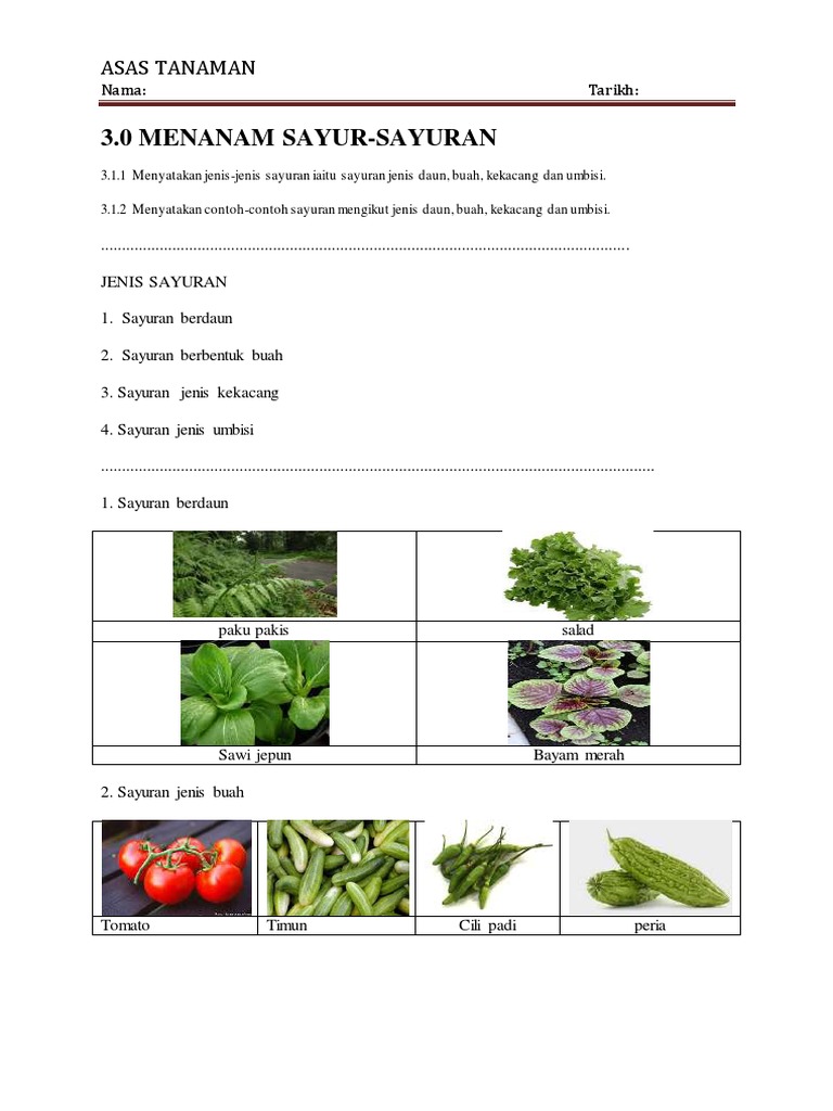 3.0 Menanam Sayur-Sayuran: Asas Tanaman | PDF