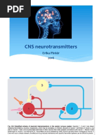 Neurotransmitter Chart | PDF | Neurotransmitter | Neurophysiology