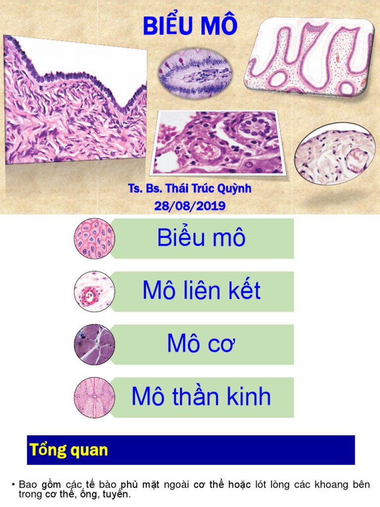 Bieu Mo | PDF
