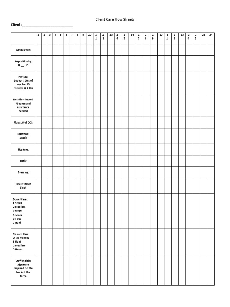 Client Care Flow Sheet Template | PDF | Technology & Engineering