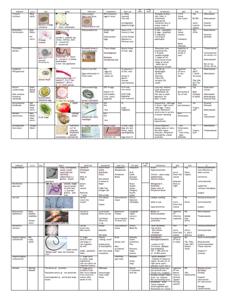 Parasitology Table Review | PDF | Malaria | Diseases And Disorders