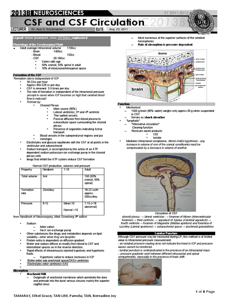 CSF and CSF Circulation | PDF | Cerebrospinal Fluid | Central Nervous ...